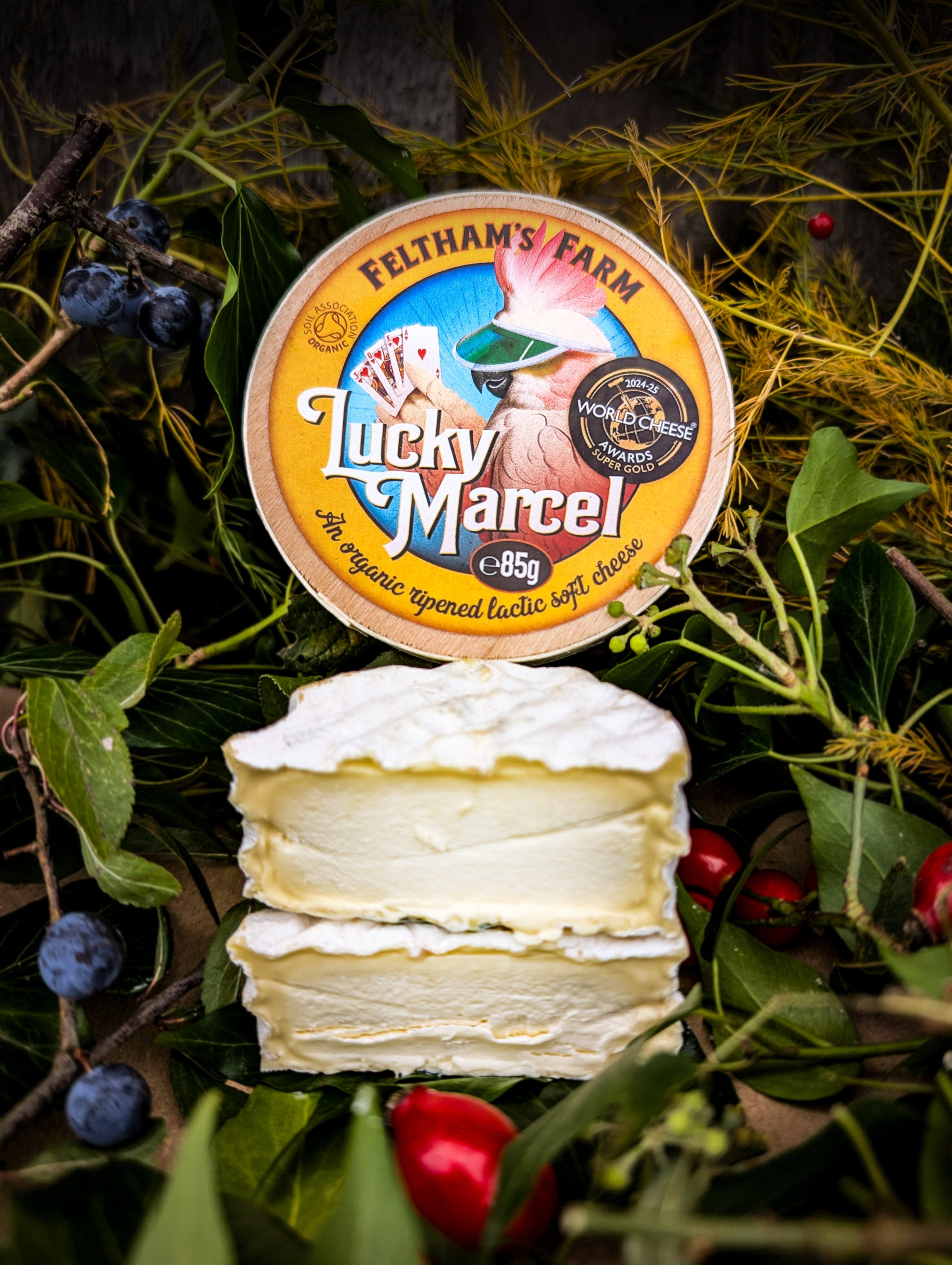 Lucky Marcel Cheese – Felthams Farm